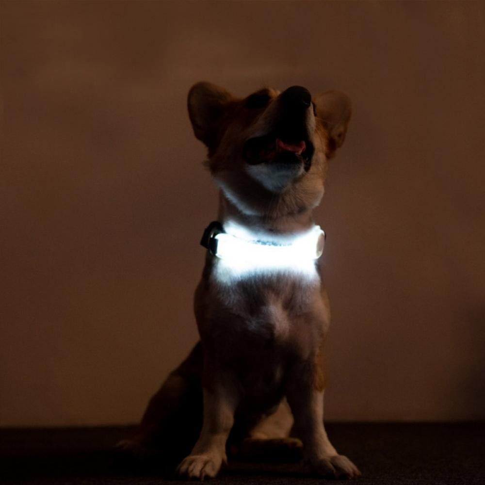 LED Dog Collar Pet Collar Reflective Safety Flashing Luminous Leashes ...