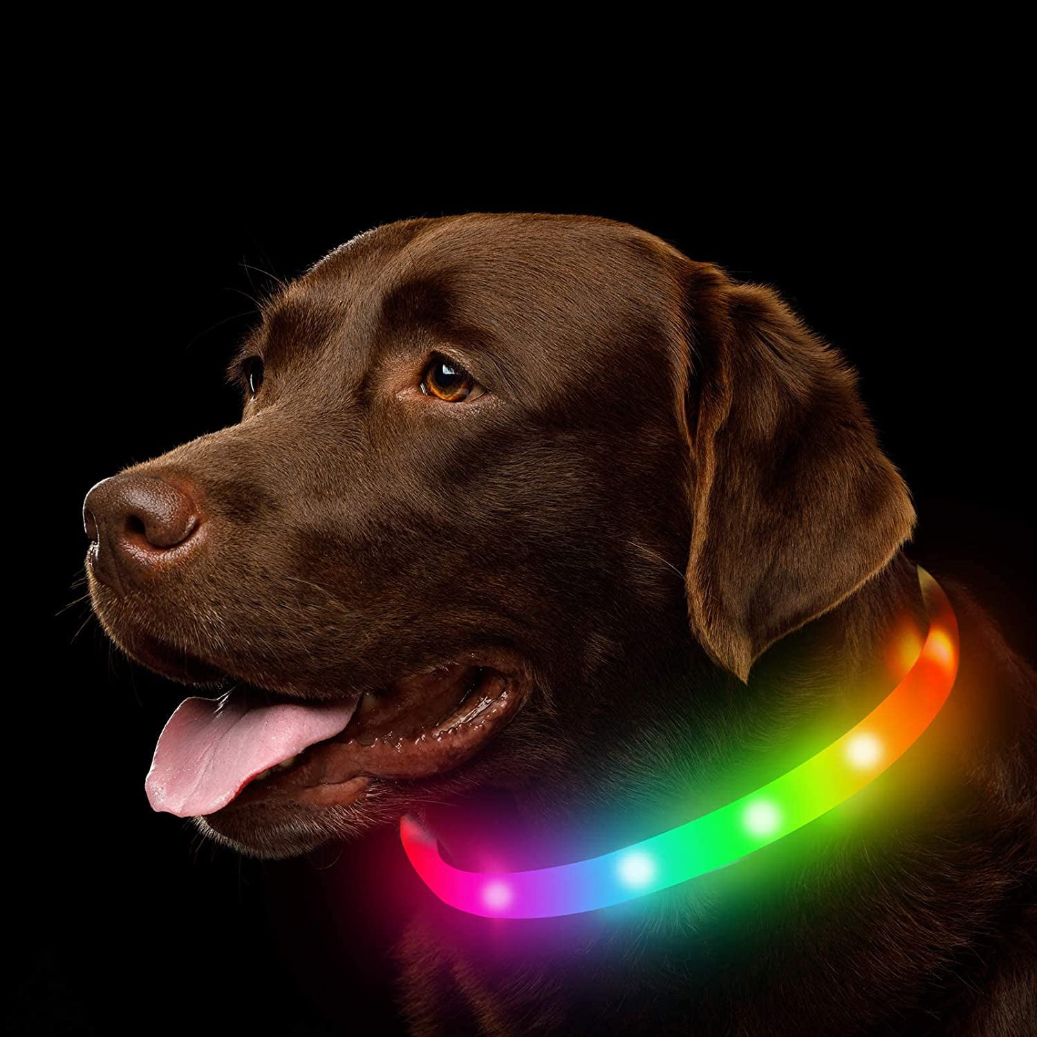 XIHAMA LED Dog Collar, Rechargeable Rainbow Light Up, Waterproof ...