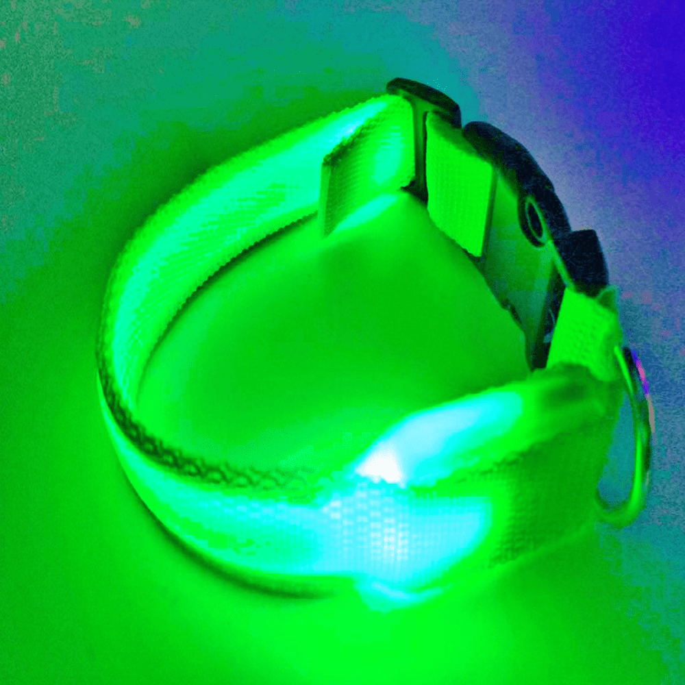 LED Dog Collar - Reflective Glow in The Dark, Adjustable Light Up ...