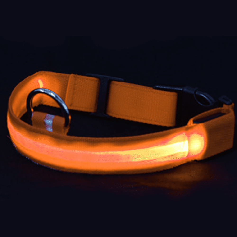 LED Dog Collar USB Rechargeable – Bright & High Visibility Lighted Glow ...