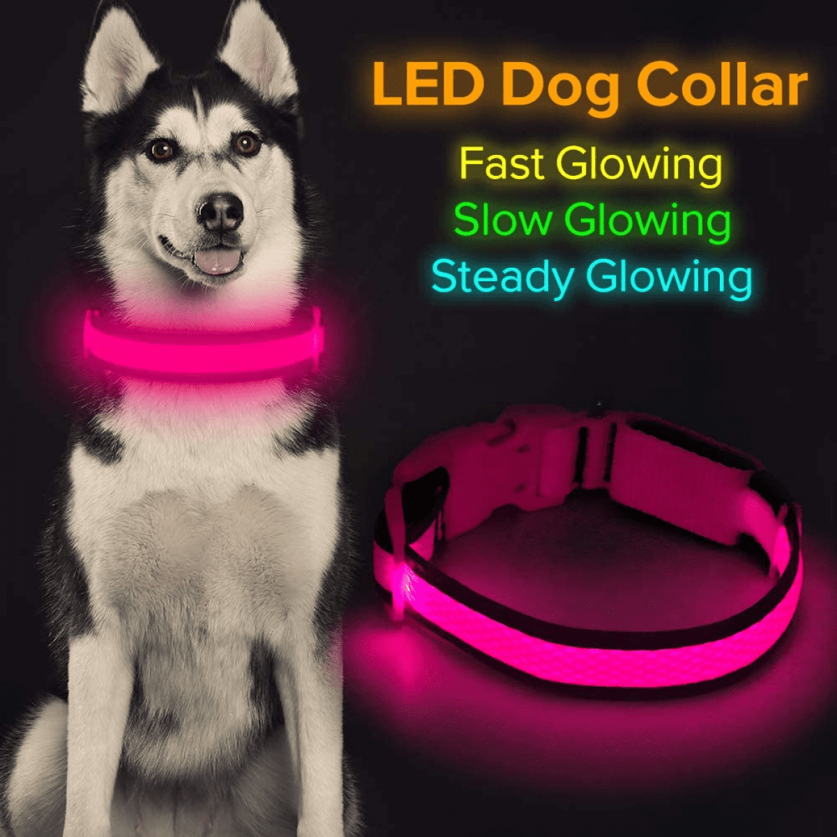 LED Dog Collar, USB Rechargeable Light Up Dog Collar Lights, Adjustable ...