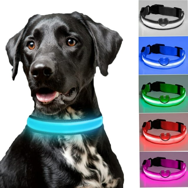 LED Dog Collar USB Rechargeable Waterproof Adjustable Light Up Dog ...