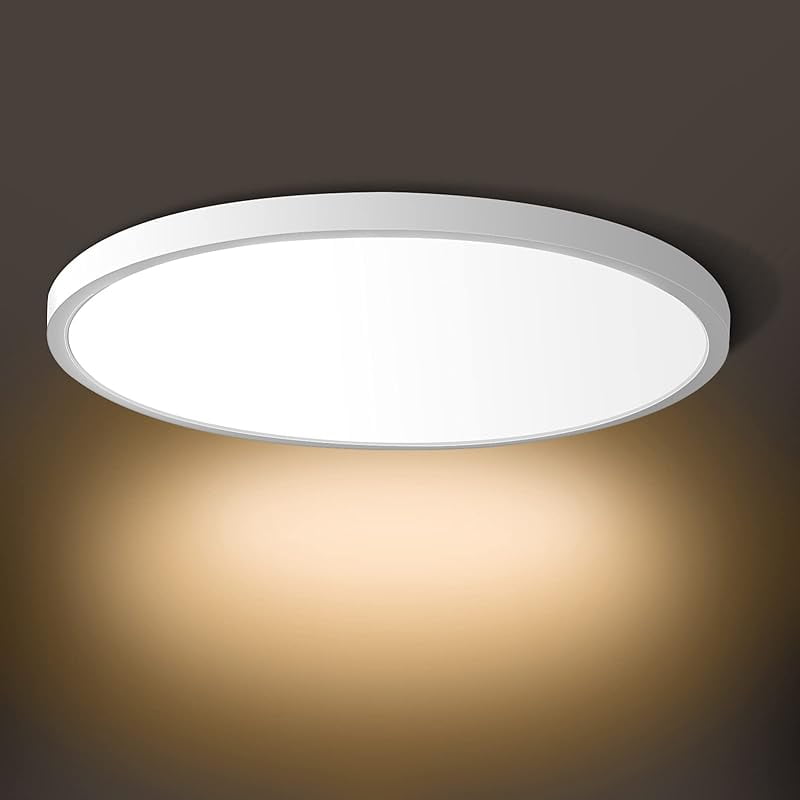LED Flush Mount Ceiling Light Fixture, 2800K Warm White 24W(240W ...