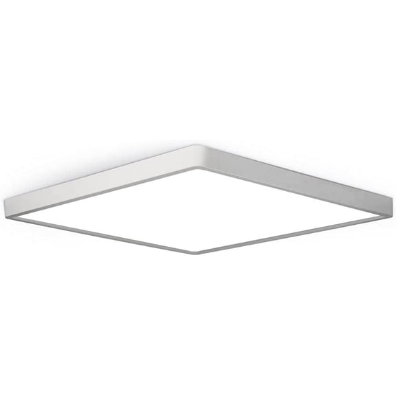 Flat Ceiling Lights