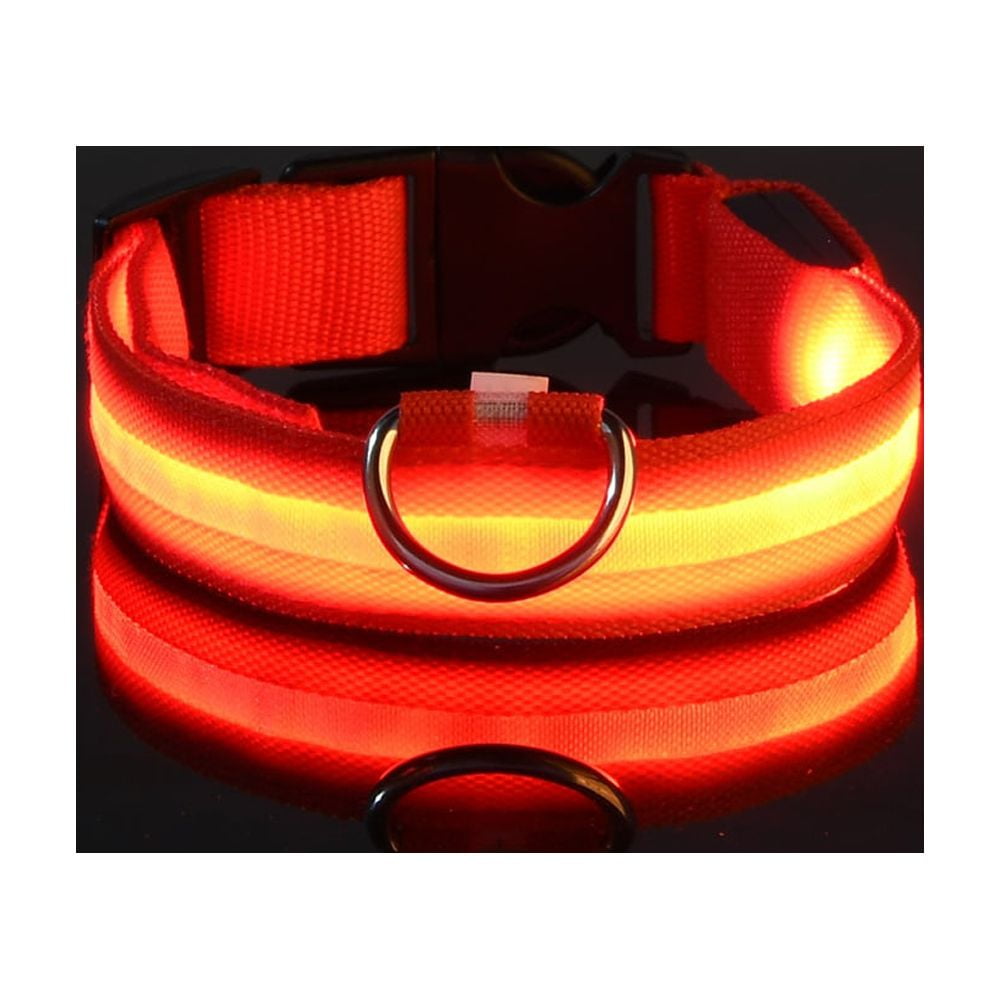LED Glow-In-The-Dark Pet Collar For Small And Medium Dogs - Keep Your ...