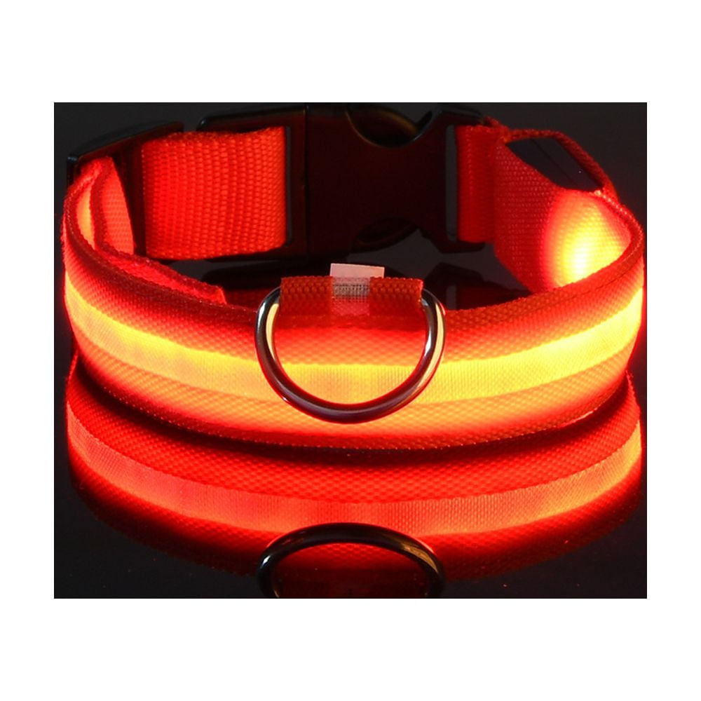 LED Glow-In-The-Dark Pet Collar For Small And Medium Dogs - Keep Your ...