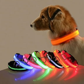 LED Dog Collar USB Rechargeable Glowing, Pet Collars Lighted Up Safety ...