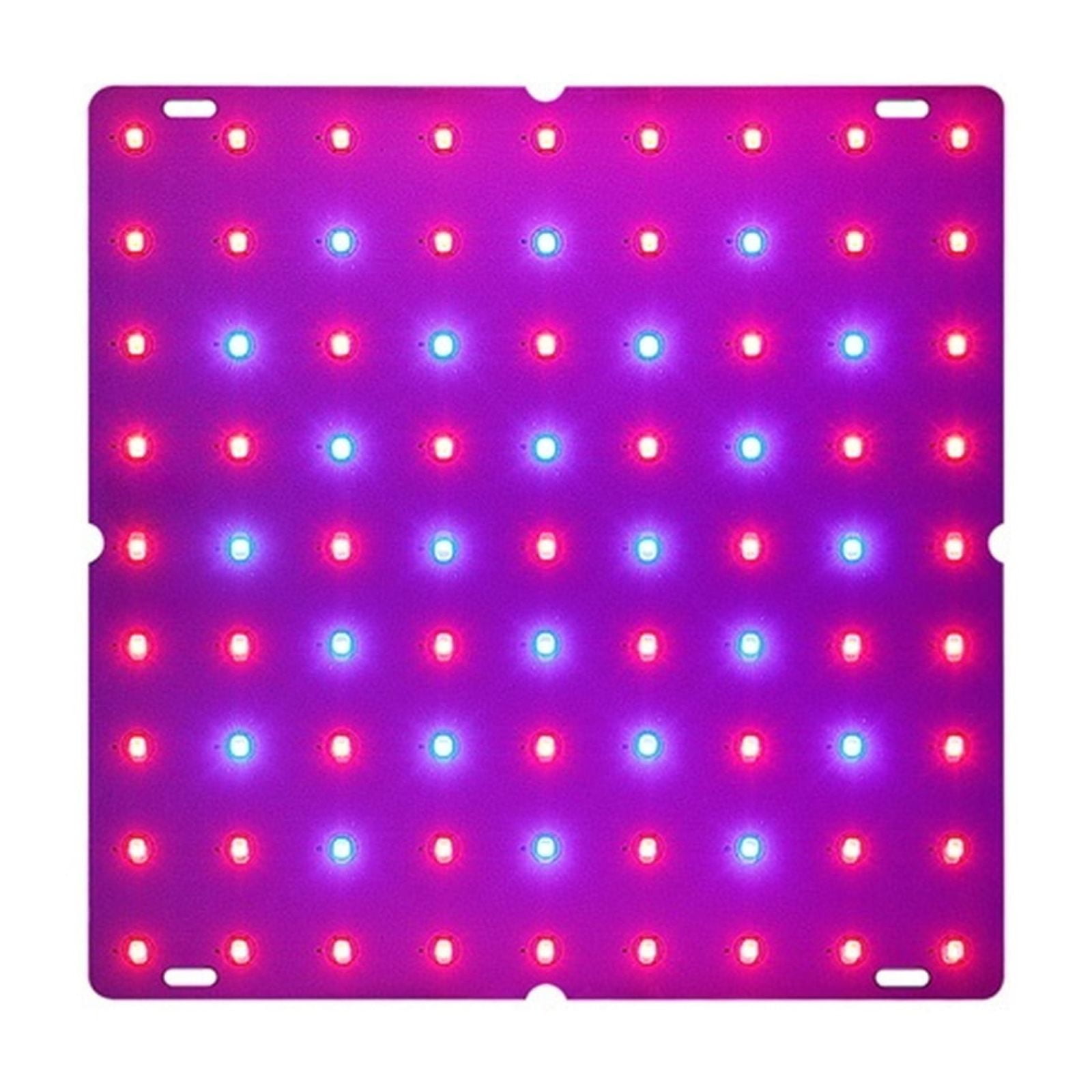 LED Grow Light 1000W 1500W Indoor Plant Seeds Lamp Full Spectrum LED ...