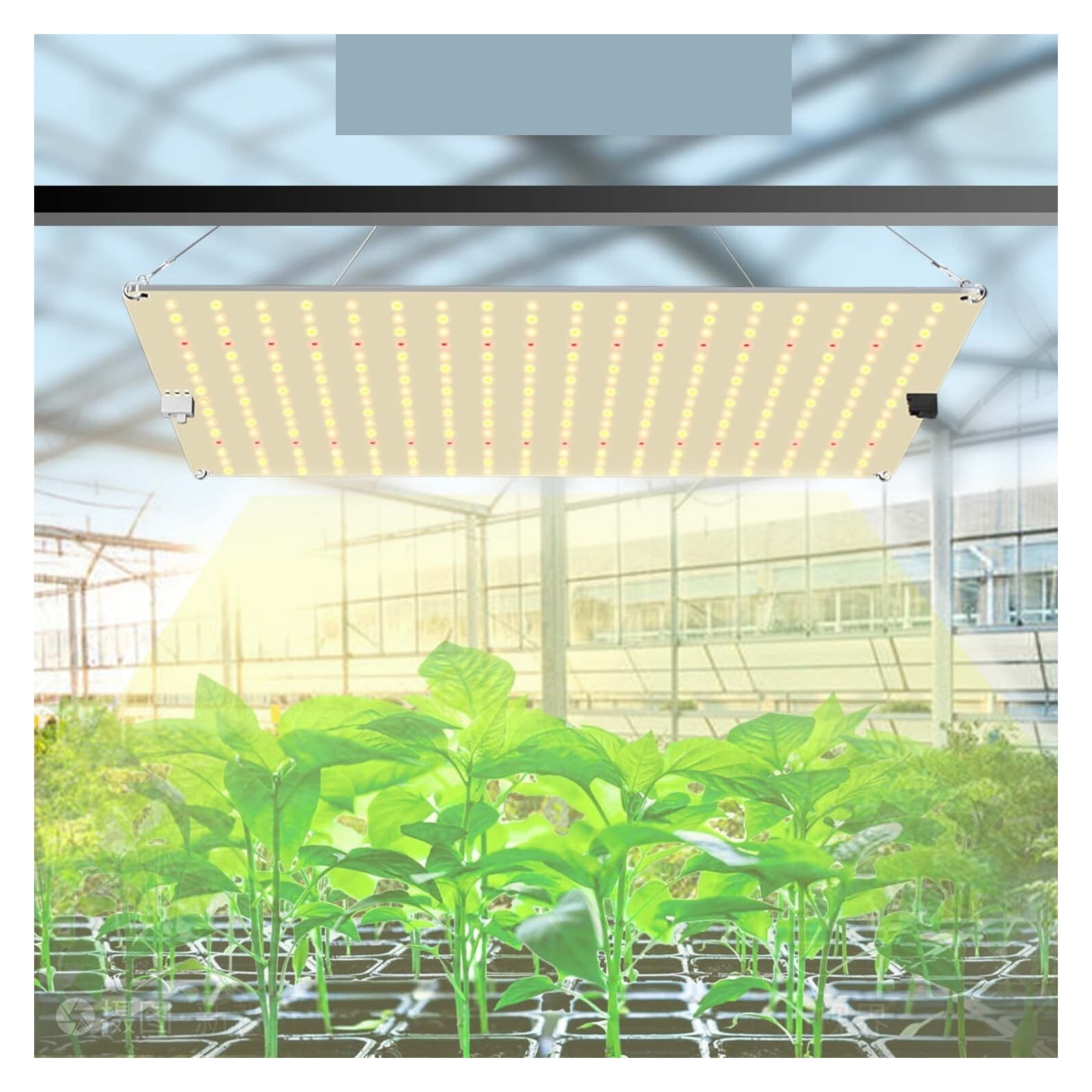 LED Grow Light 1500W Full Spectrum High PPFD 4x4FT Coverage, Indoor ...