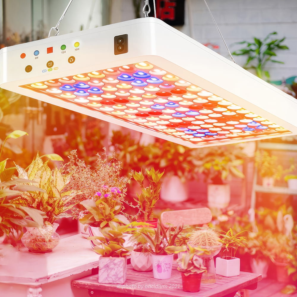 LED Grow Light Dimmable, 240pcs LEDs Full Spectrum Grow Light for ...