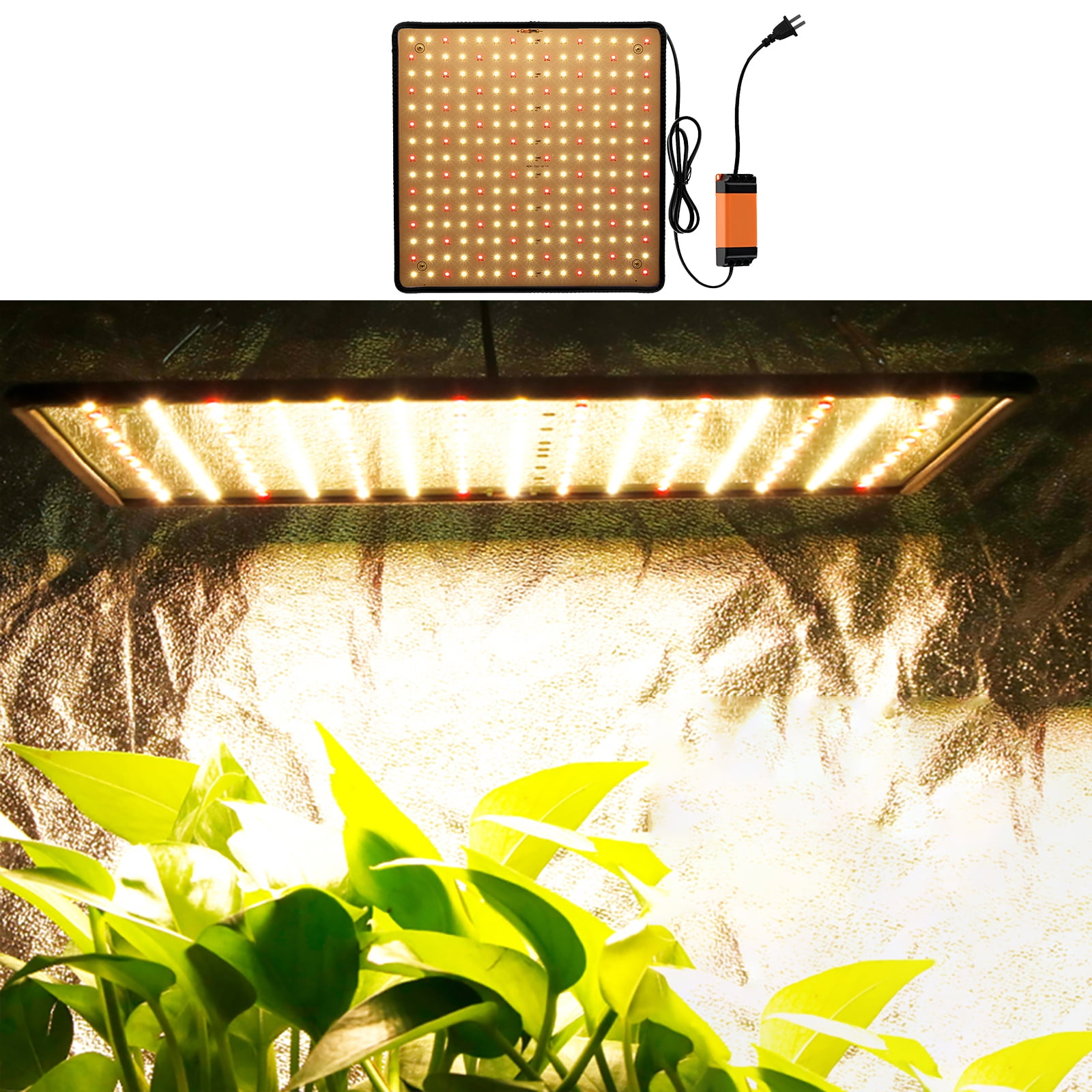 LED Grow Light US Full Spectrum Grow Lamp Indoor Succulent Growing ...