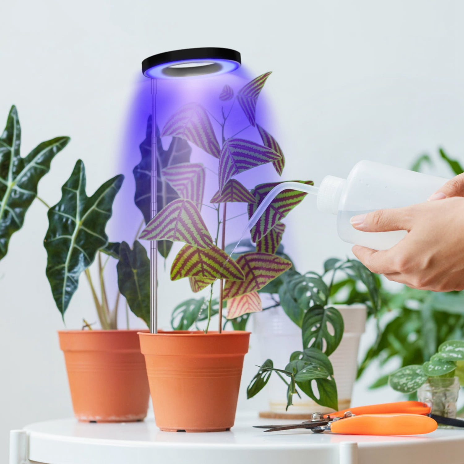 LED Growing Lights for Indoor Plants, Smart Full Spectrum USB Small ...