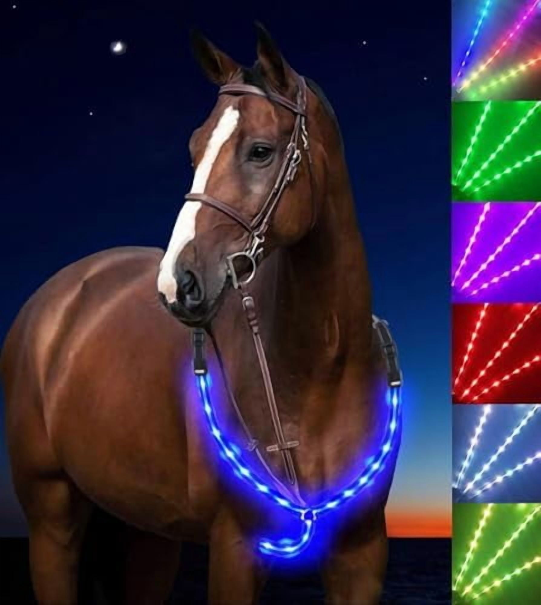 LED Horse Breastplate Collar - 7 Colors in 1 Light Up Horse Tack, USB ...