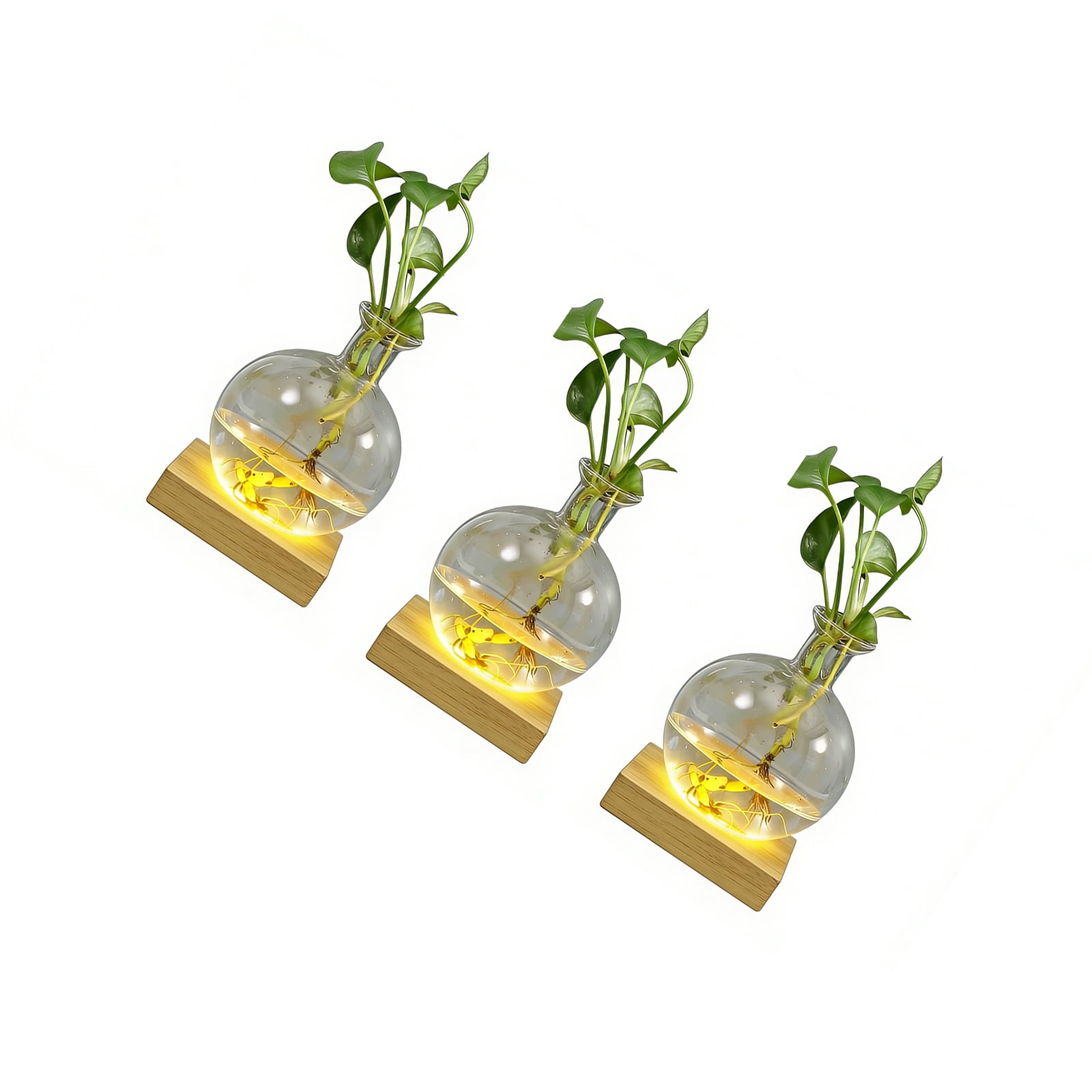 LED Illuminated Hydroponic Glass Vases For Visible Plant Root Growth ...