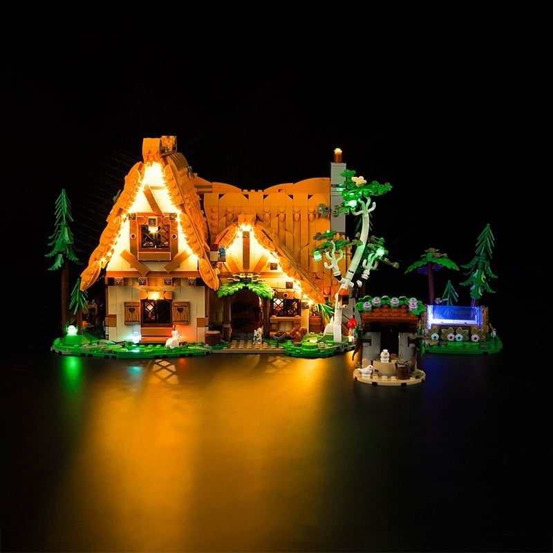 ‌LED Light Compatible with Legos 43242 Building Set, LED Light Kit for ...