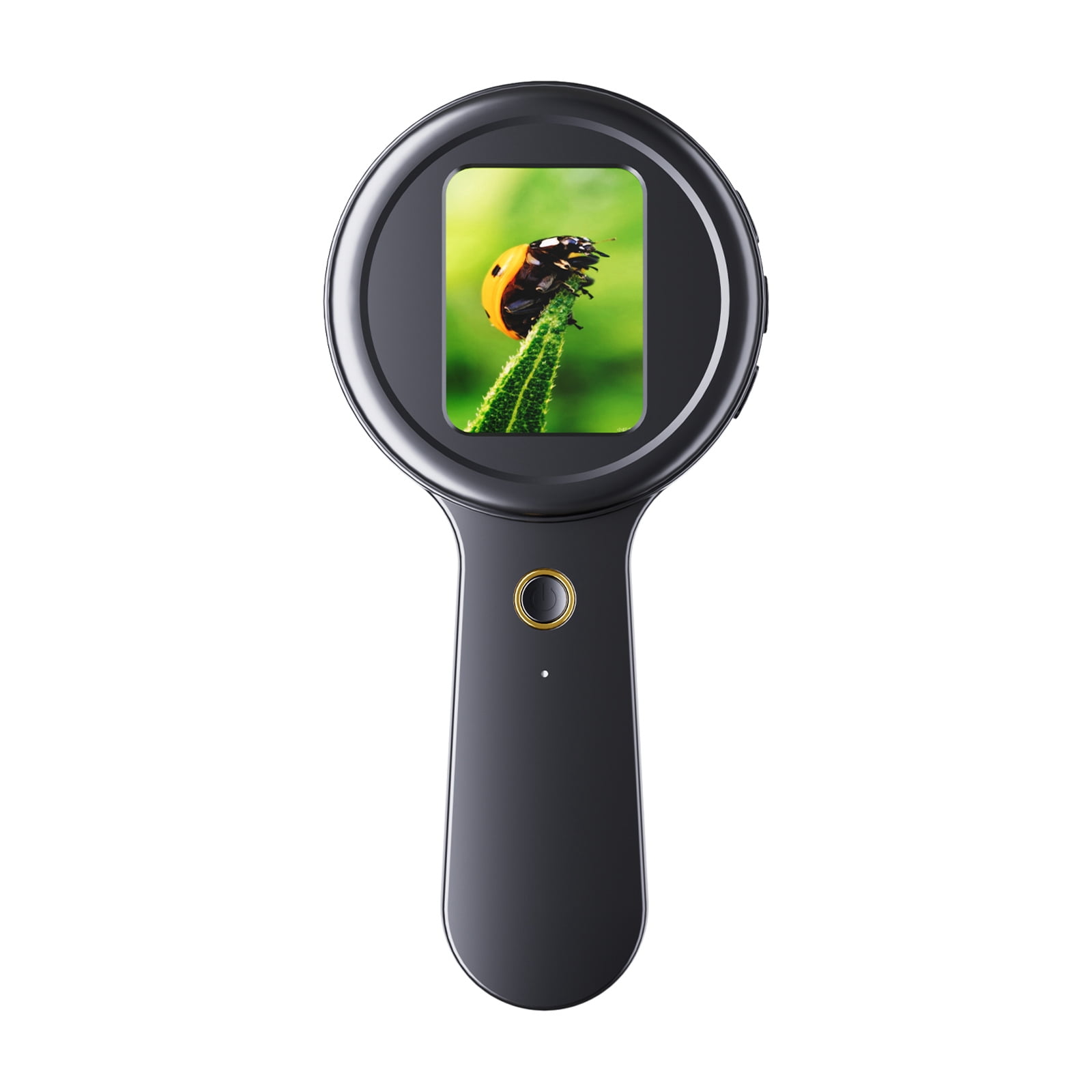 LED Light Digital Microscope Adjustable Brightness Magnifier for Kids ...