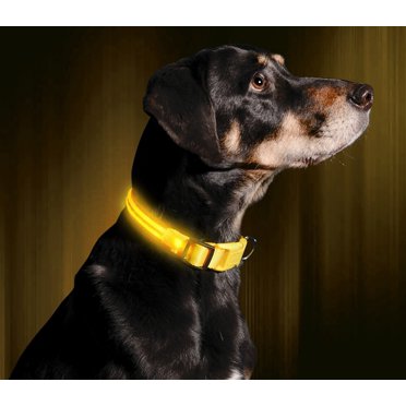 Tail Light LED Circular Collar Charm, Multiple Colors Available ...