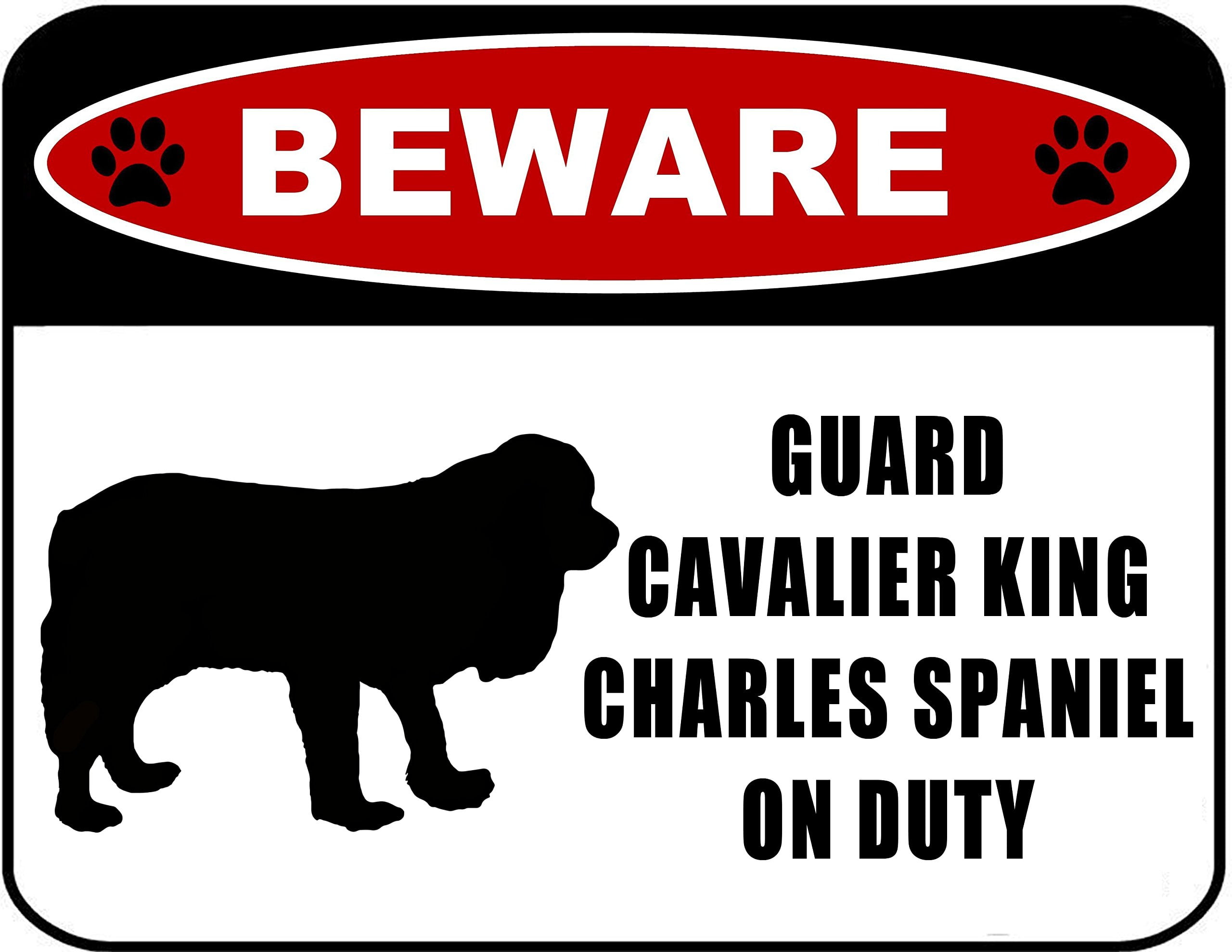 LED Light Up Red Flashing Blinking Attention Grabbing Laminated Dog ...