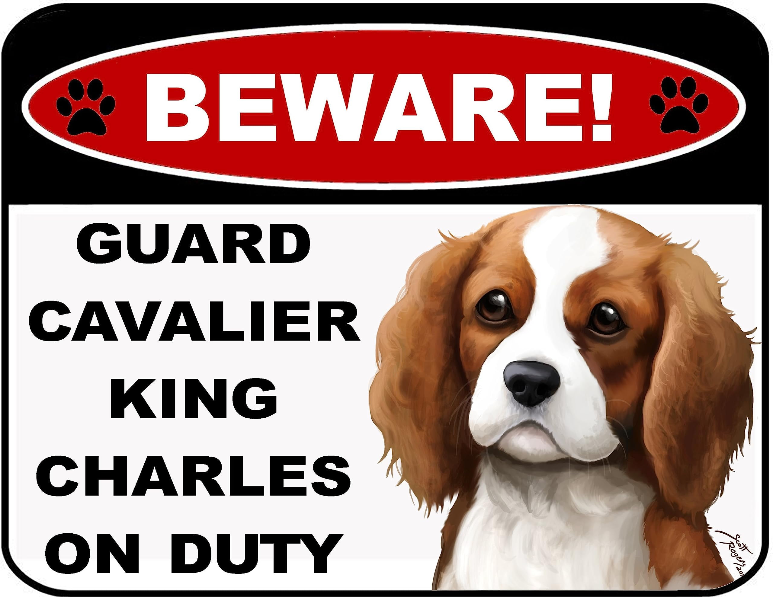 LED Light Up Red Flashing Blinking Attention Grabbing Laminated Dog ...