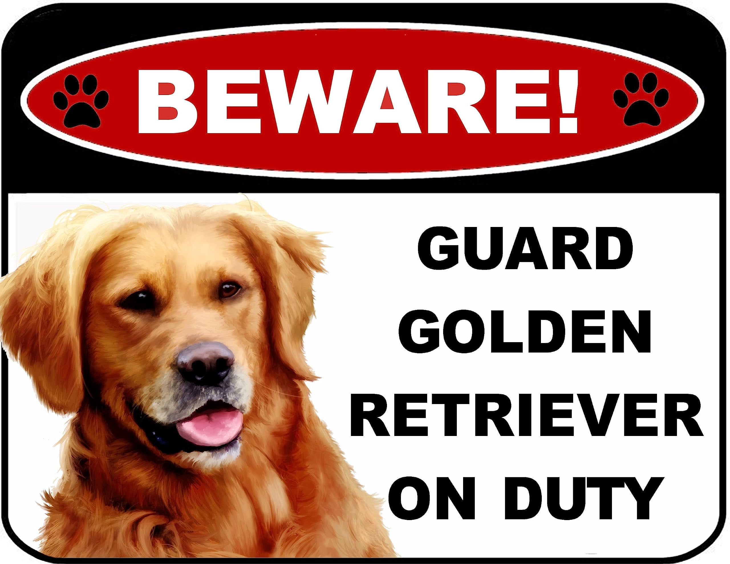 LED Light Up Red Flashing Blinking Attention Grabbing Laminated Dog ...