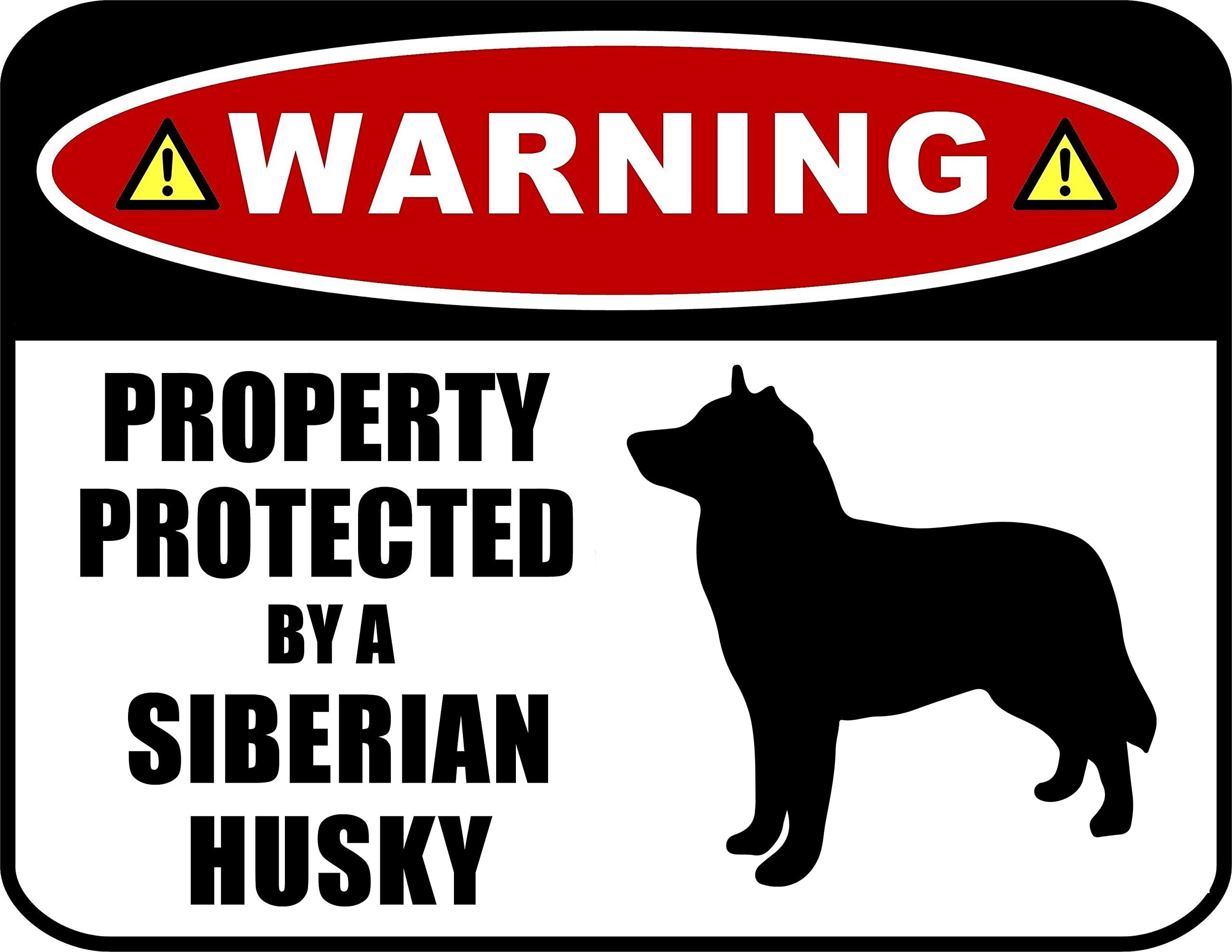 LED Light Up Red Flashing Blinking Attention Grabbing Laminated Dog ...