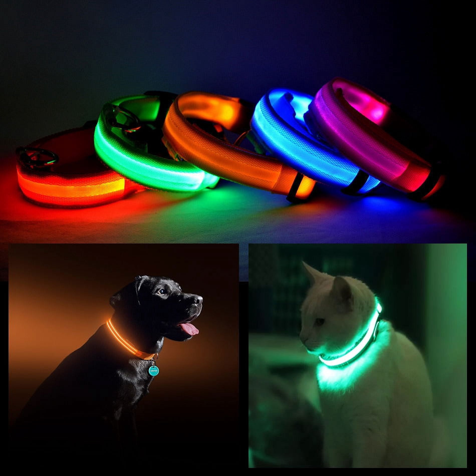 LED PET Safety Halo Style Collar - Walmart.com