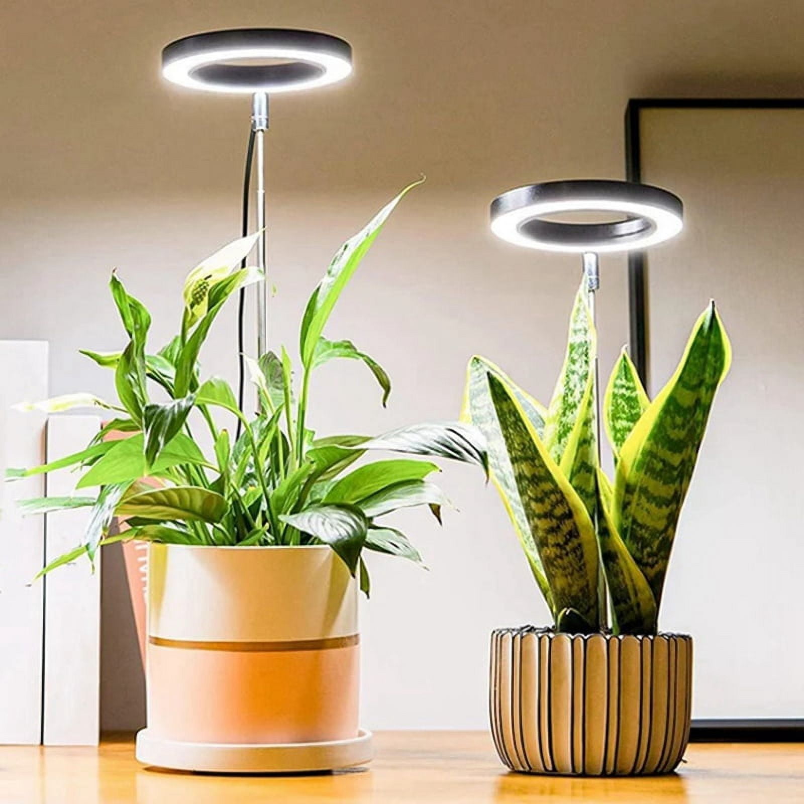 LED Plant Growth Lamp Ring Dimming Timing Adjustable Retractable Height ...