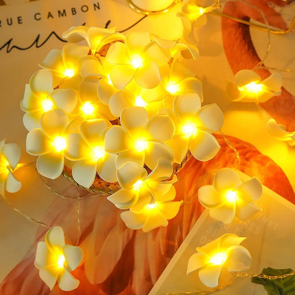 LED Plumeria Flower String Lights,Foam Artificial Plumeria Flower Light ...