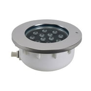 Carvin Star Bright Waterproof LED Pool Light with Remote for Above ...