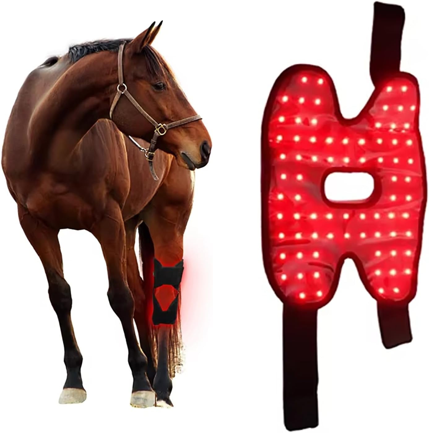 LED Red Light Therapy Device, Cordless Equine Red Light Therapy, 660nm ...