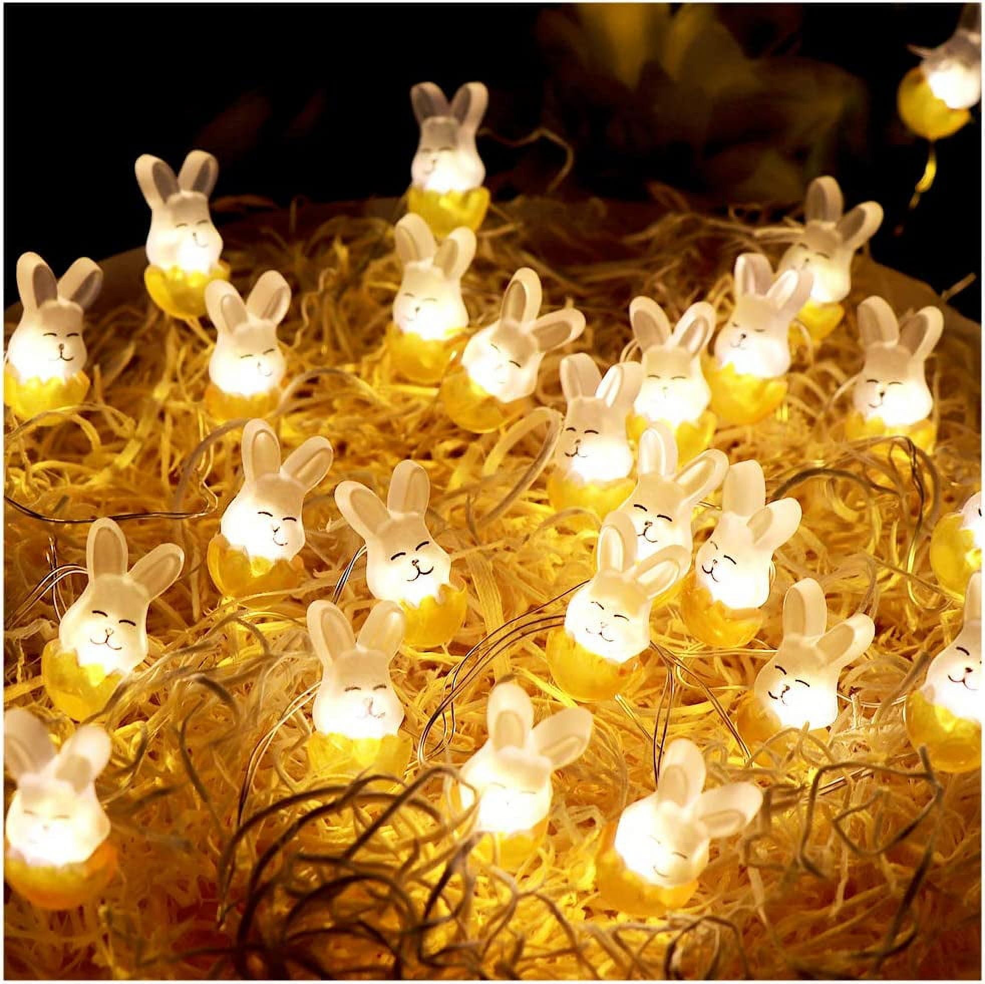 Kids Decorative 10ft LED String Lights, 30 LEDs, Battery Operated ...