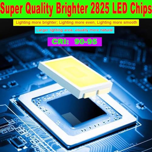 LED Strip Lights, SMD 2835 LED Strip, DC12V 1200LEDs 16.4Ft 26000LM ...