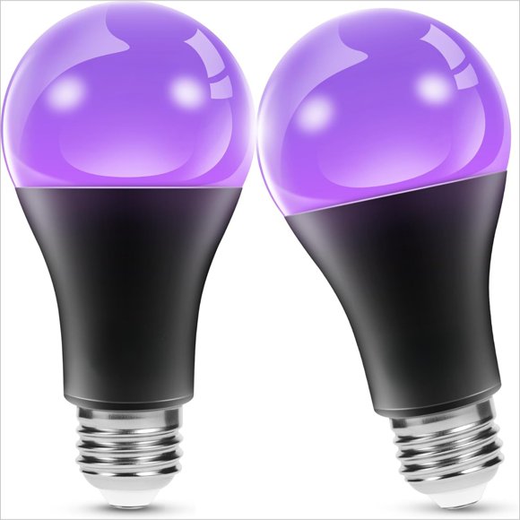 Neon Light Bulb