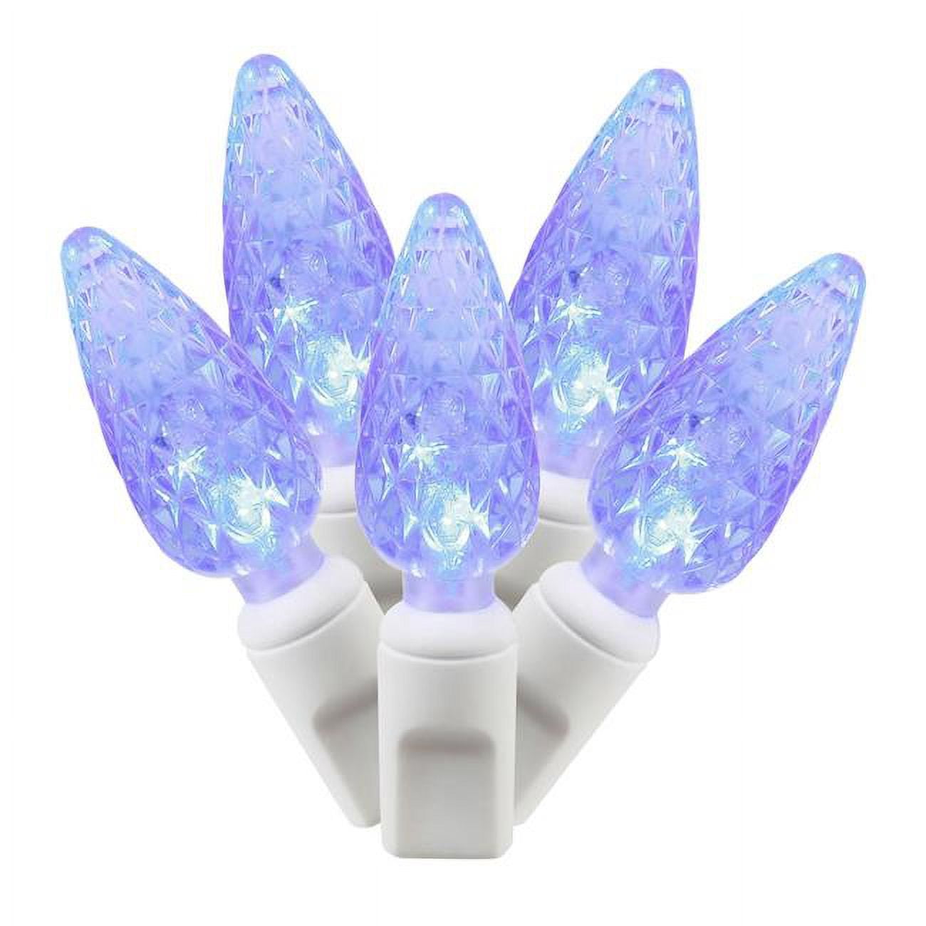 LED White Wire End Connecting 25 ft. Long Light Set with Blue Lights ...