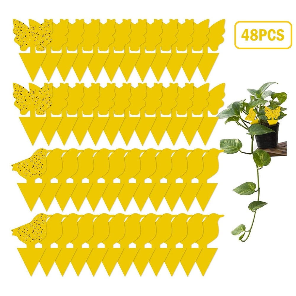 LEEYNEER 48Pcs Double-Sided Yellow Sticky Traps for Indoor Outdoor ...