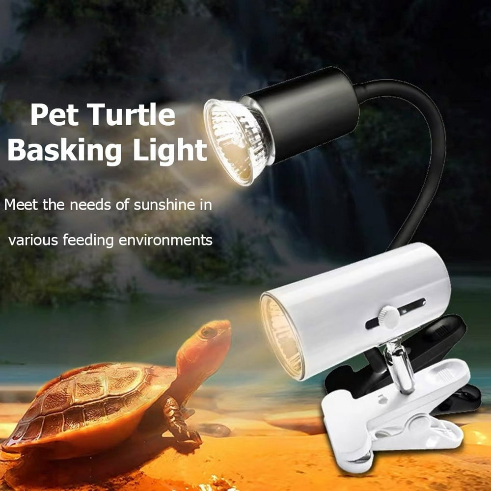 LEEYNEER Reptile Lamp Pet Amphibians Lizards Heat Bulb Turtle Basking ...