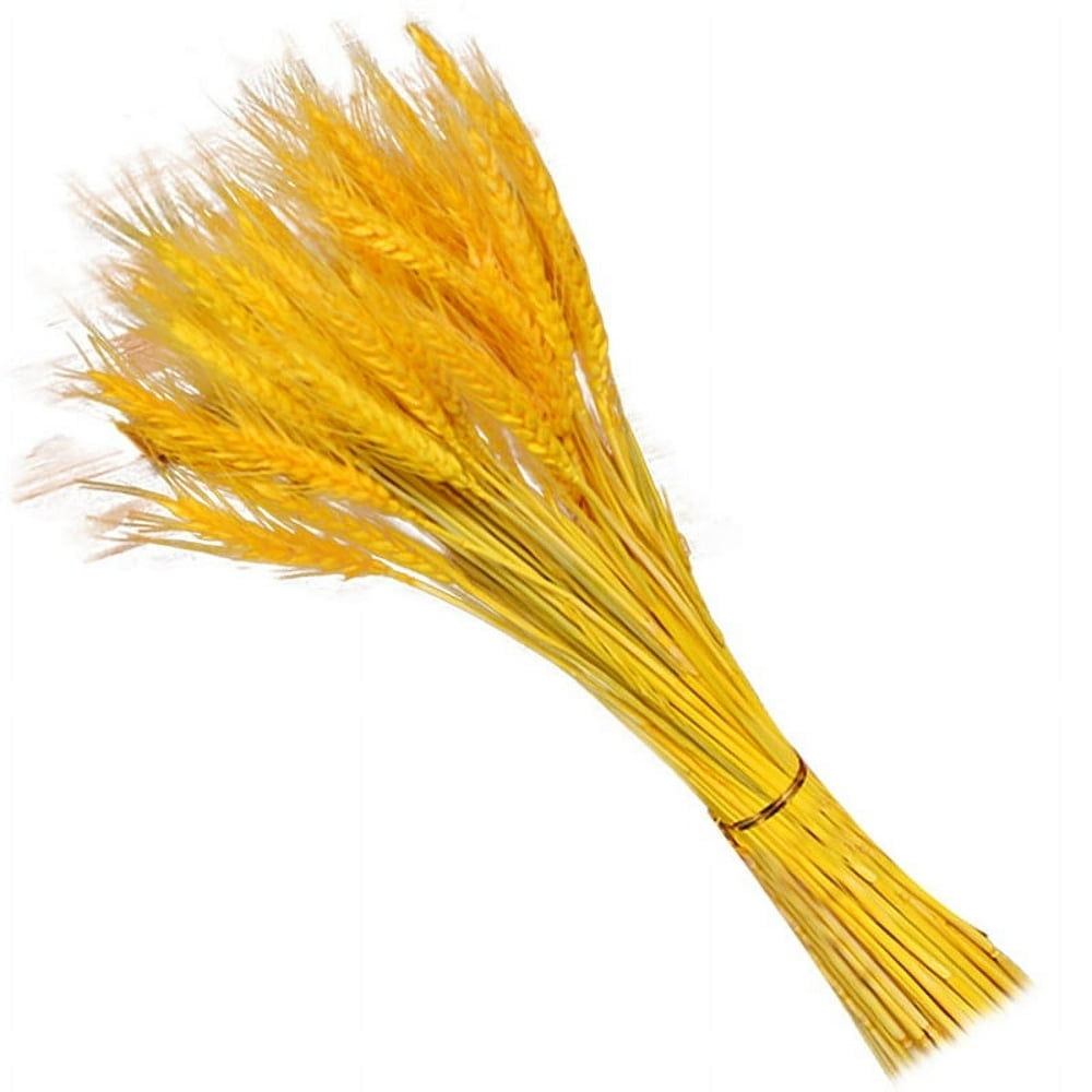 LEEYNEER Wheat Decor Natural Decorative 100PCS Simple Wheat Ear Flower ...