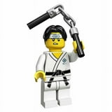 LEGO 71027 Martial Arts Boy Minifigure for Playgrounds - Walmart ...