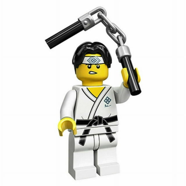 LEGO 71027 Martial Arts Boy Minifigure for Playgrounds - Walmart ...