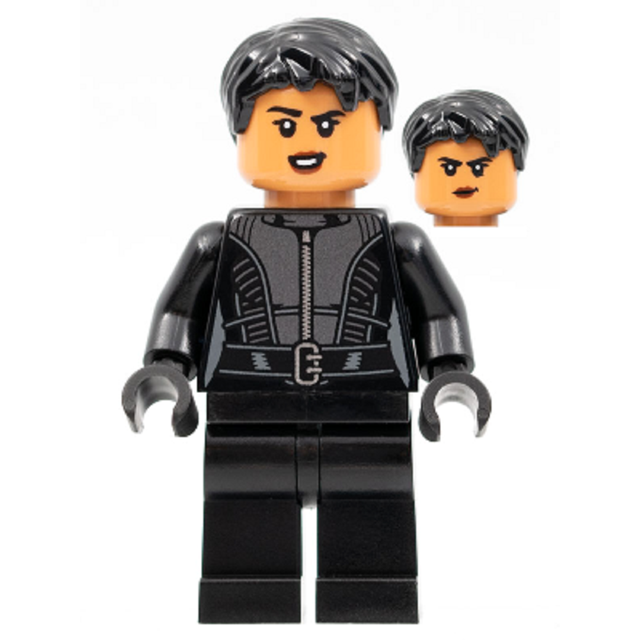 LEGO 76183 Batcave : The Riddler Face-off Selina Kyle Catwoman ...