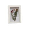 Raindrops Creative Pressed Flower Frame Acrylic Display for Specimens ...