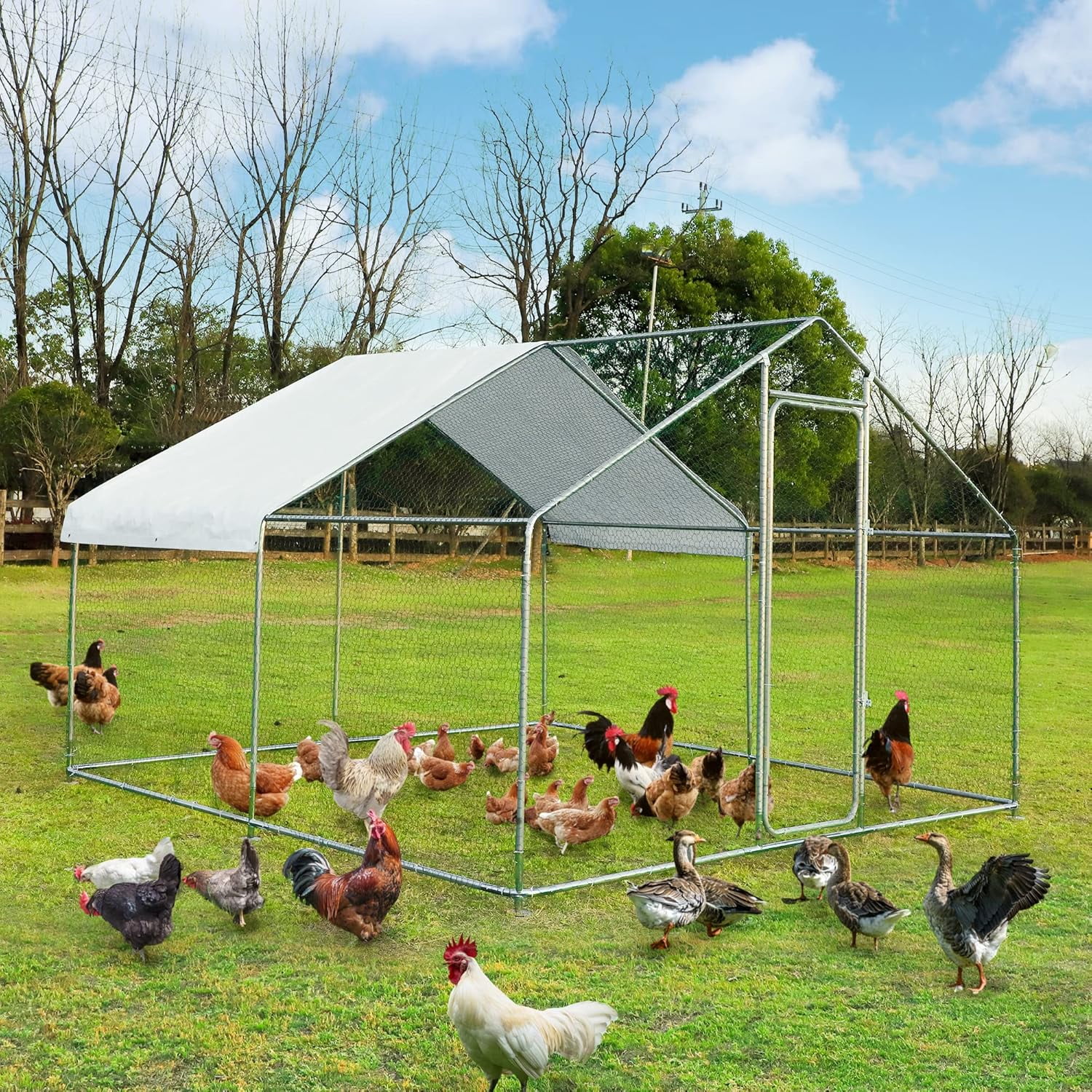 LEISU Outdoor Large Chicken Run Walk-in Chicken Coop with Waterproof ...