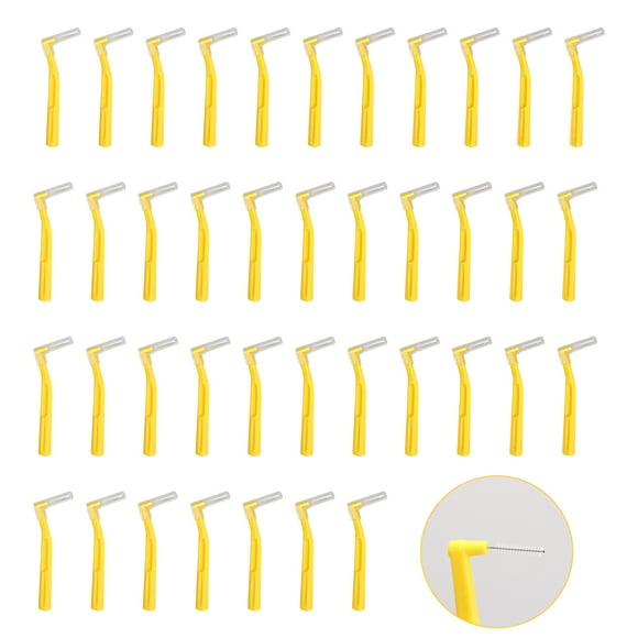 Dental Proxy Brushes