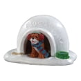 LEMAX Igloo Doghouse #94552 - Walmart.com