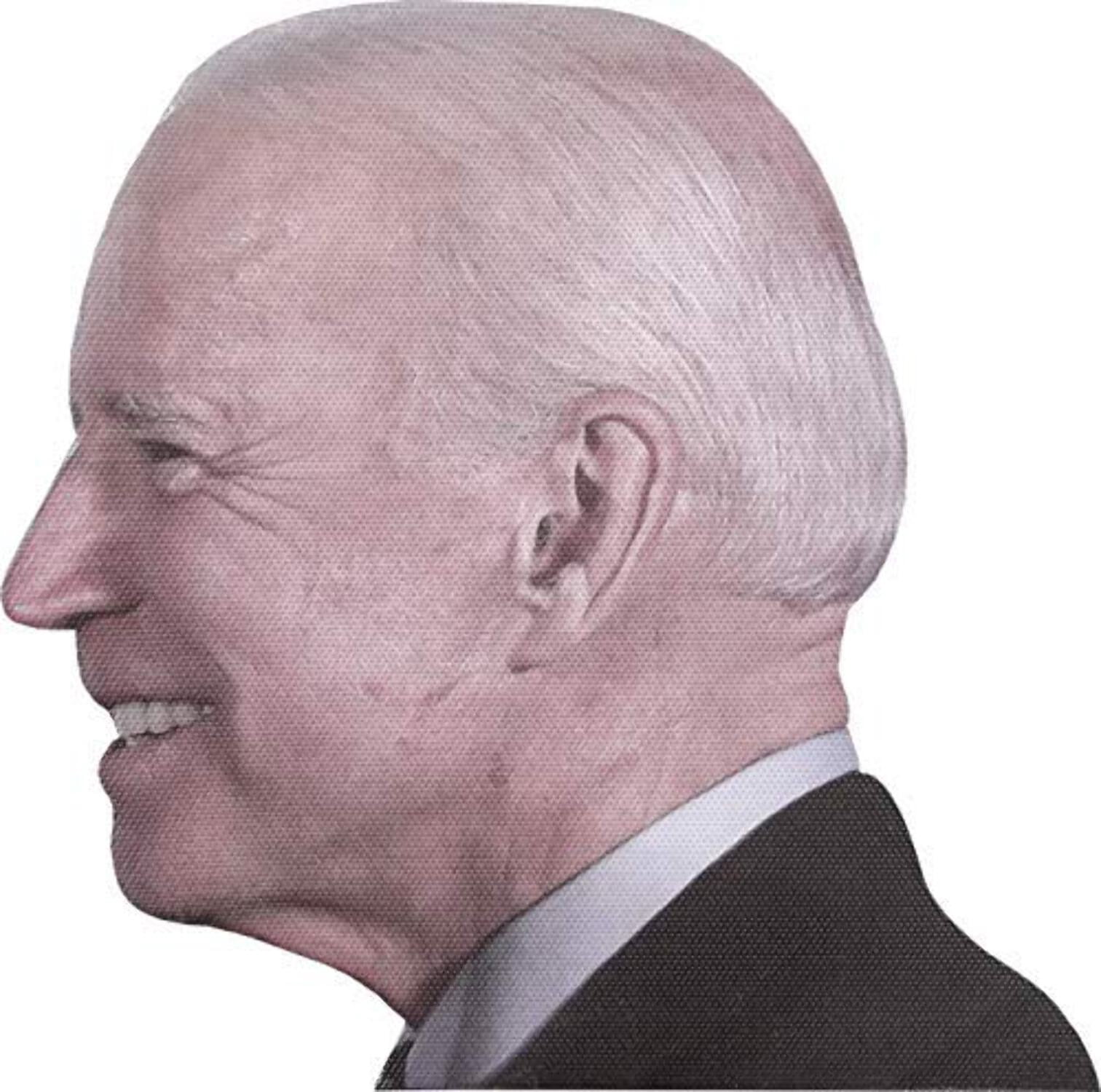 Joe Biden Meme Window