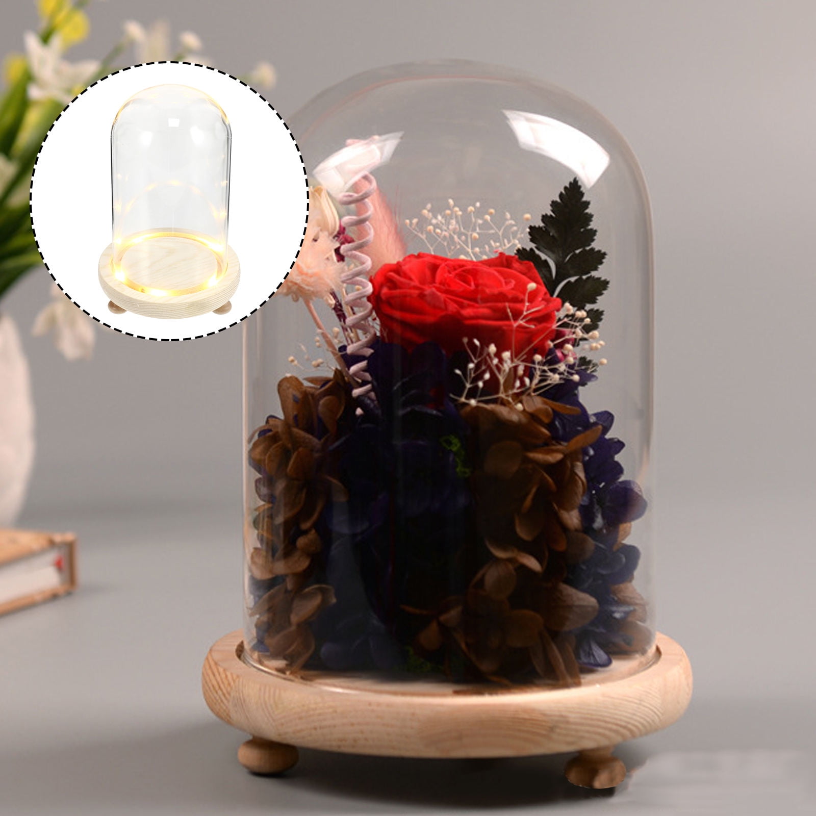 LEORX 1 Set Preserved Flower Adornment Glass Cover for Romantic ...