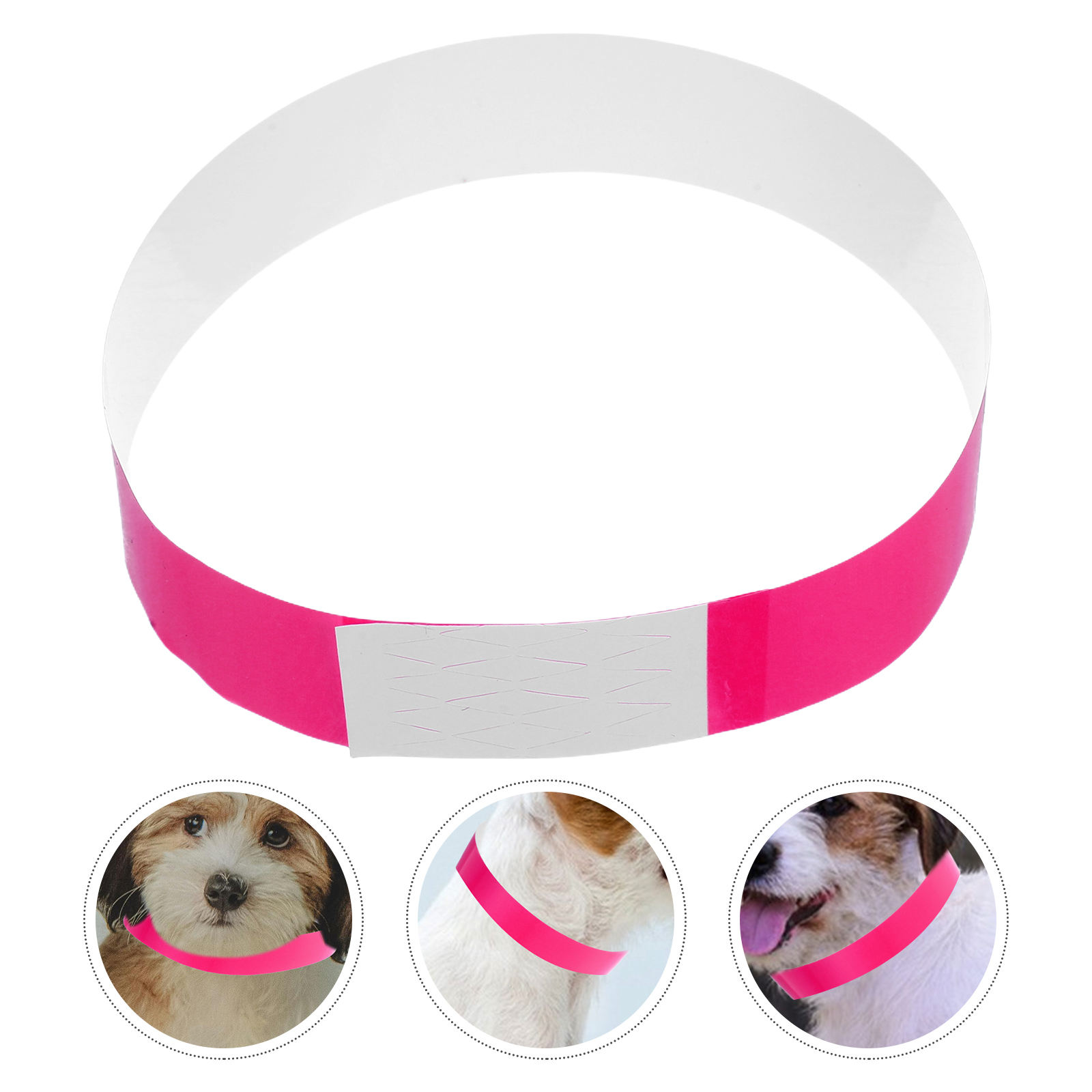 LEORX 100Pcs Puppy Id Collars for Litter Identification and Pet ...