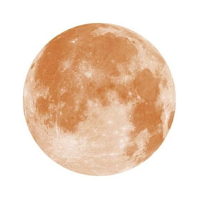 Decorate Your Space with Moon and Star Wall Stickers for Kids Rooms