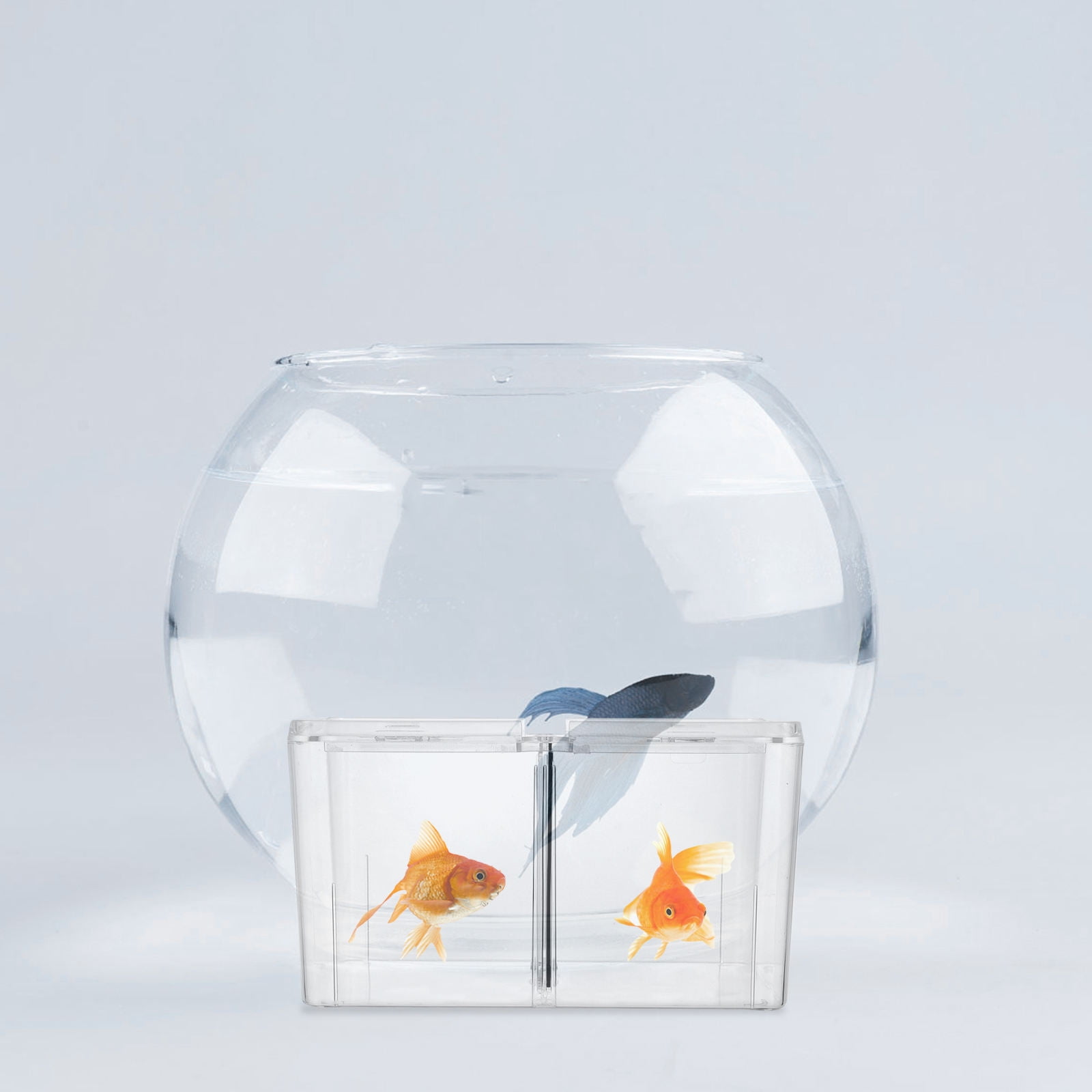 LEORX 1Set Fish Breeding Container for Increasing Survival Rate 8.3x4 ...