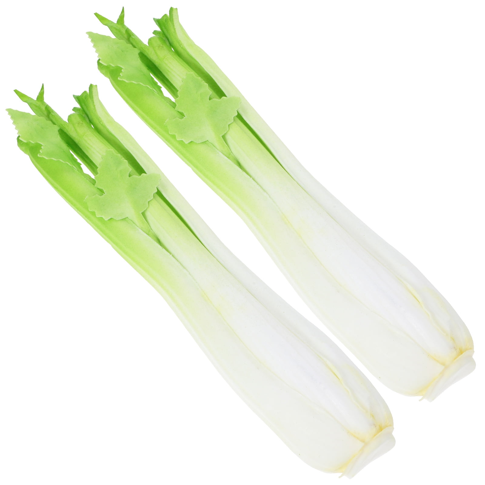 LEORX 2pcs Education Simulation Food Fake Vegetable Model Foams Green ...